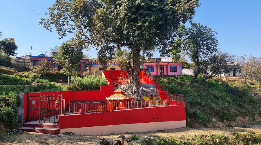 पातलेखेतको पञ्चकन्यामा वैशाख २९ देखि सप्ताह « News of Nepal